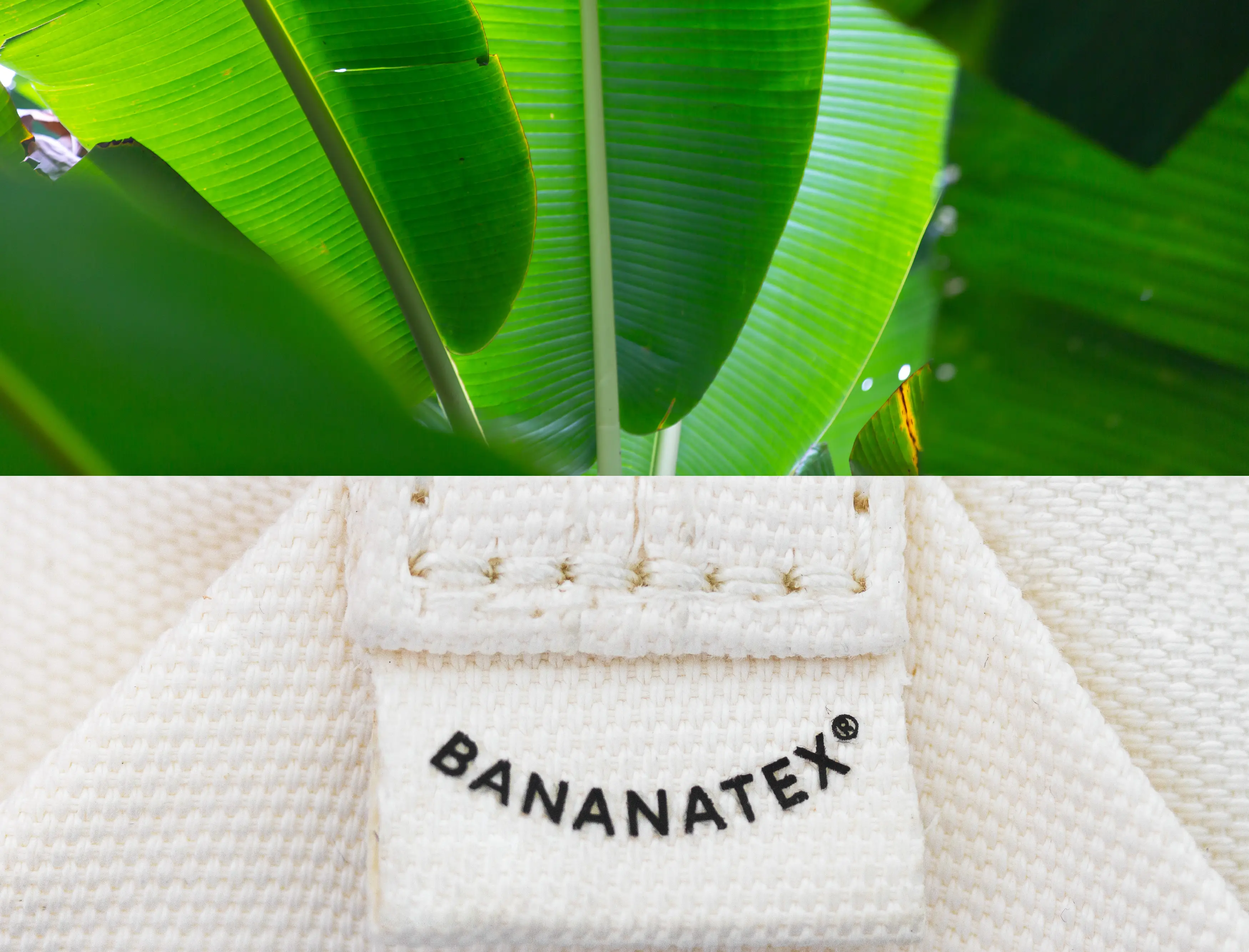Discover the Most Sustainable Synthetic Fabrics