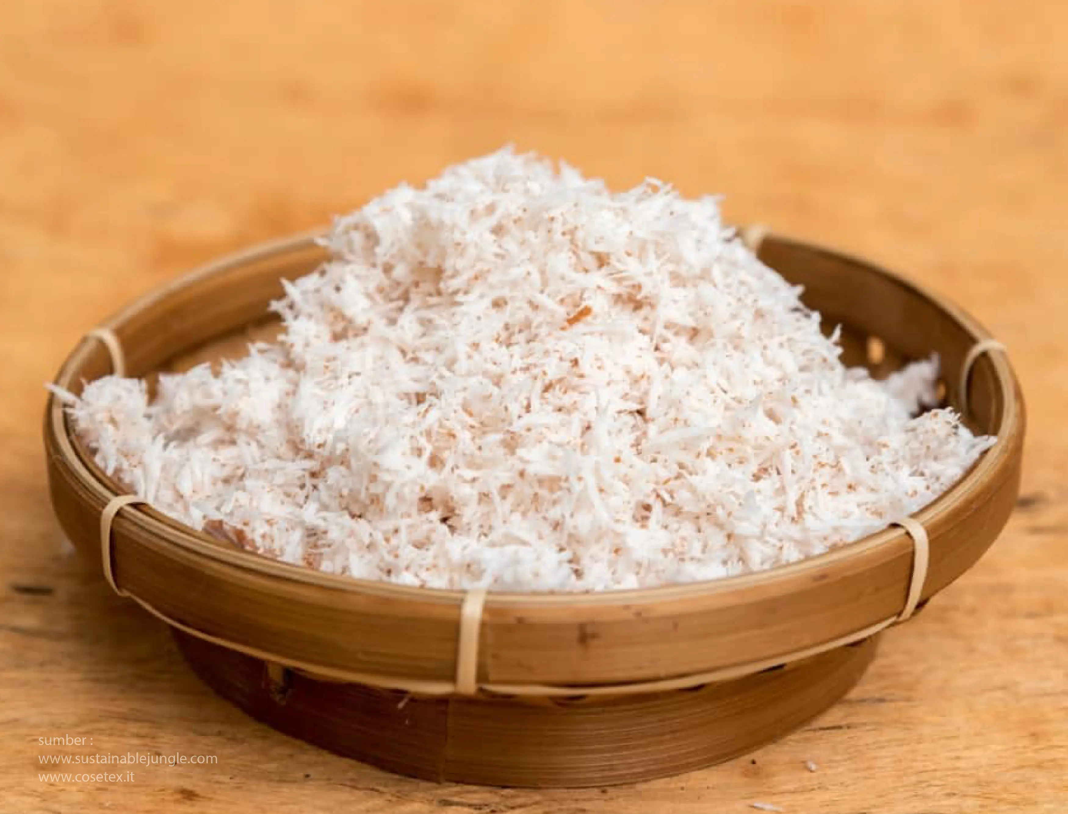 Viscose vs Rayon: Which is Better?